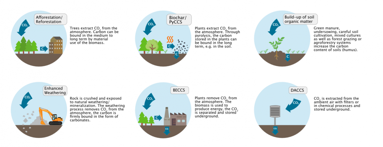 Biochar Negative Emission Technology | Blog PYREG
