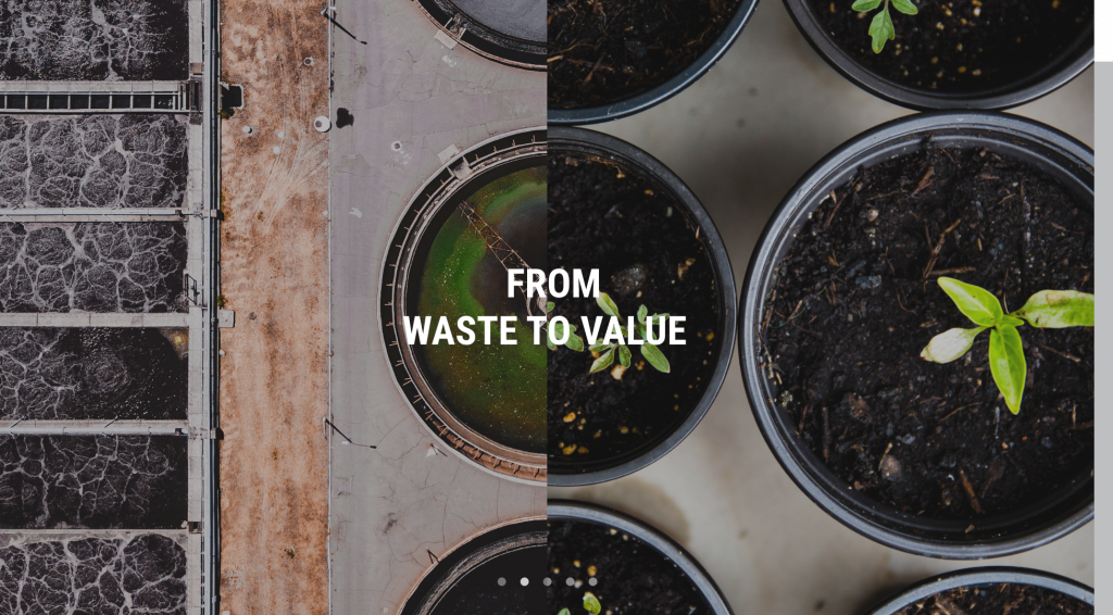 Biochar from sewage sludge: the phosphorus fertilizer for a safe and ...